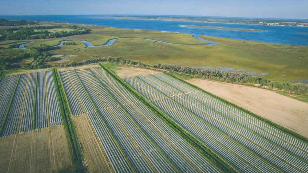 Partner Farms | Seaside Grown